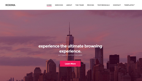 CSS Igniter Roxima WordPress Theme 1.4 - Club WPress