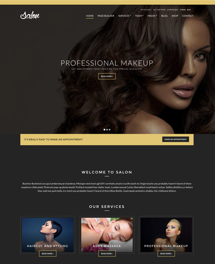 Télécharger CSSIgniter – Salon version 1.8.7