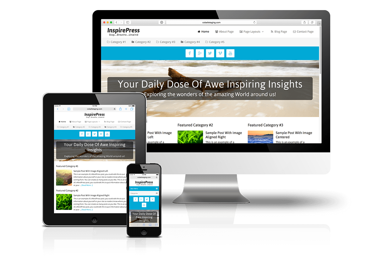 Download Dynamik Skin InspirePress version 1.0