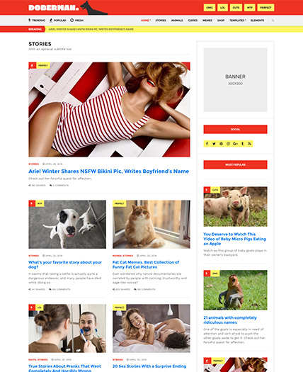 Télécharger CSSIgniter – Doberman version 1.4.1